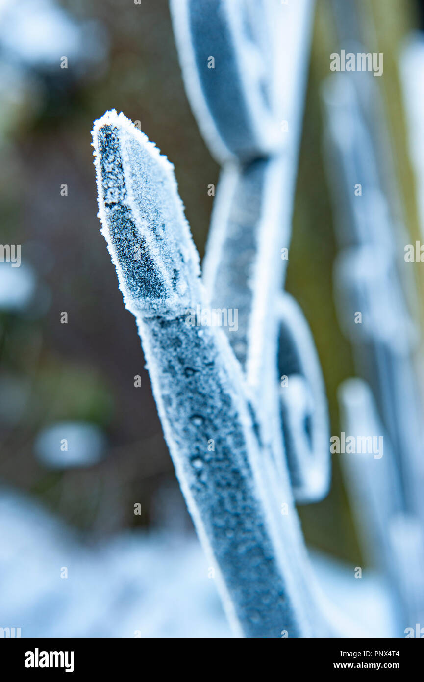 Frozen iron bars hi-res stock photography and images - Alamy