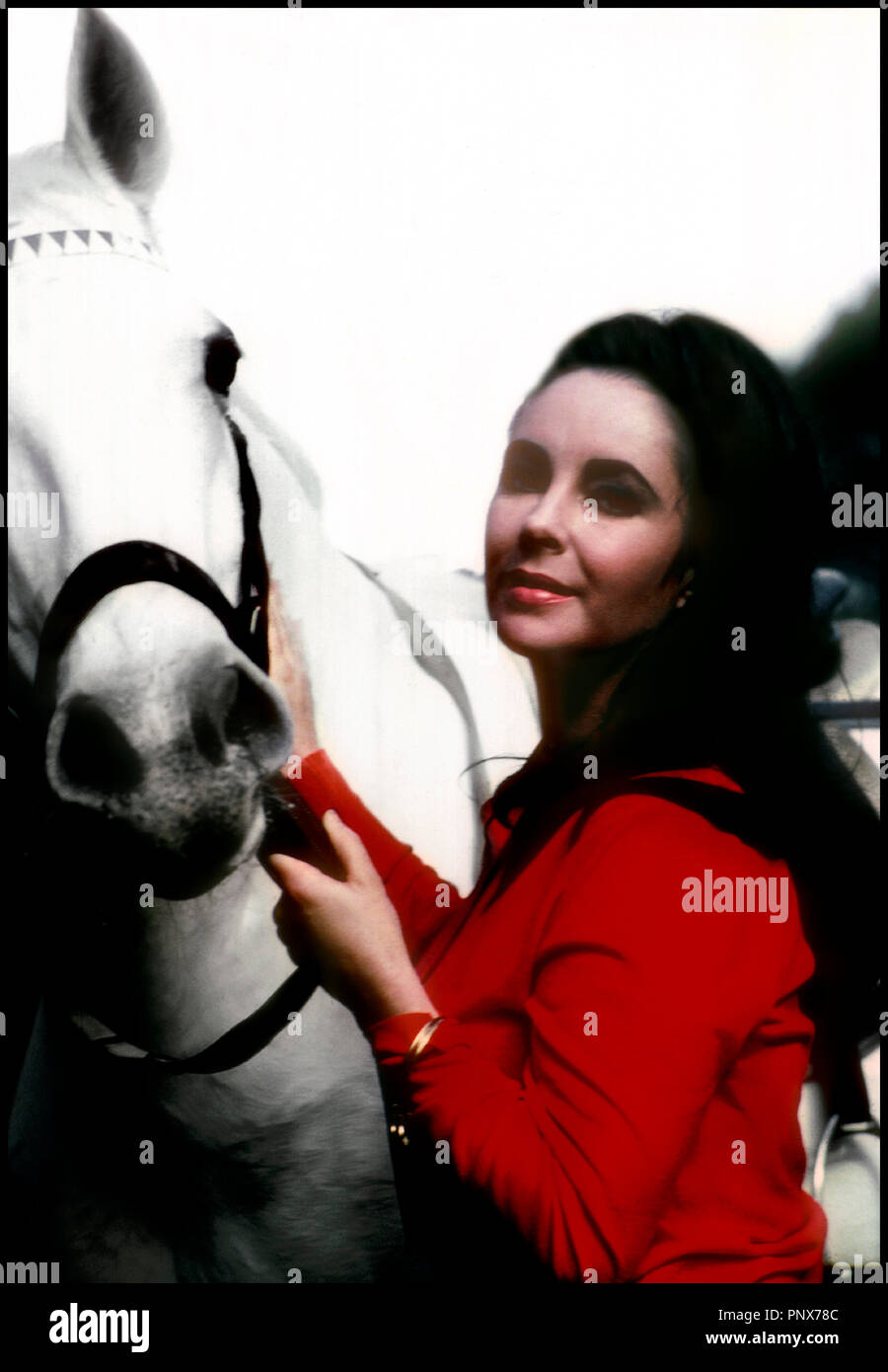 Elizabeth Taylor In 1967 Stock Photos & Elizabeth Taylor In 1967 Stock ...