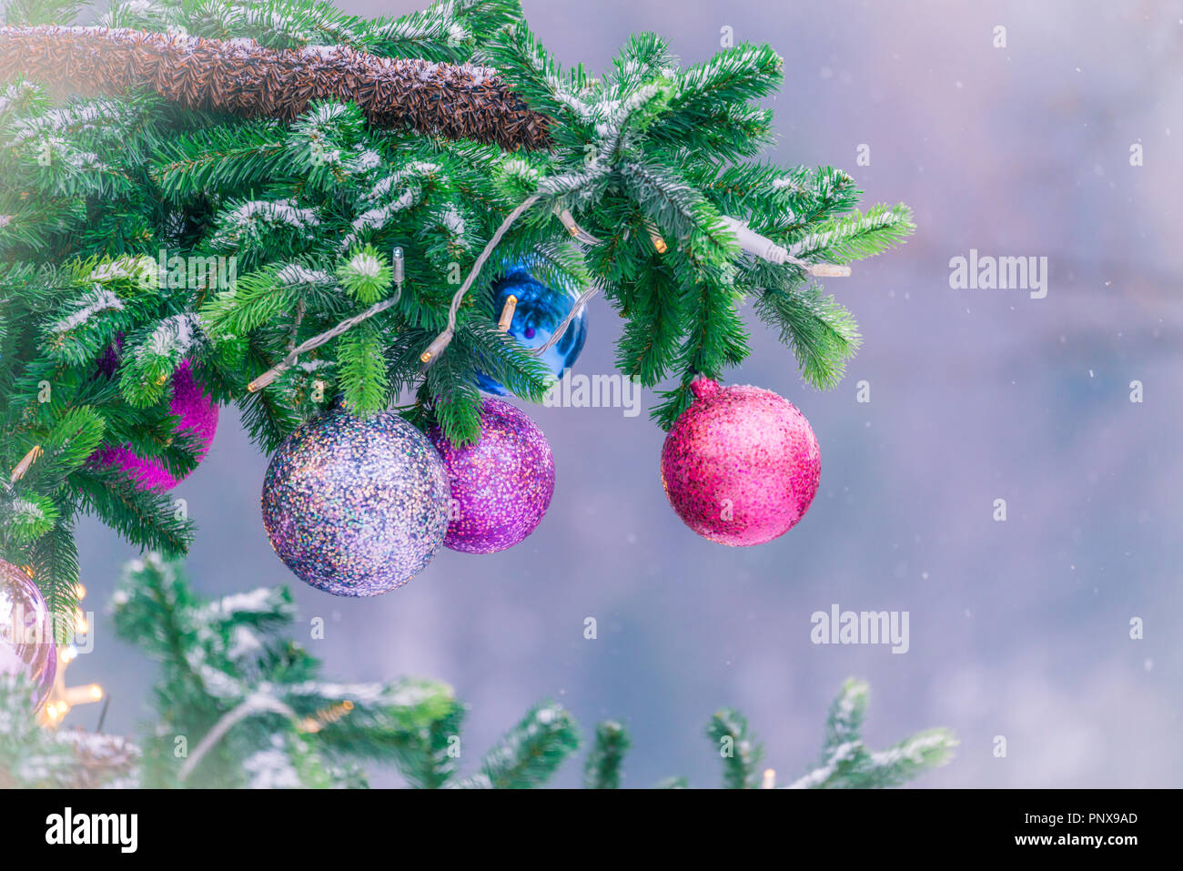Colorful Christmas decorations hanging from the branches of the ...