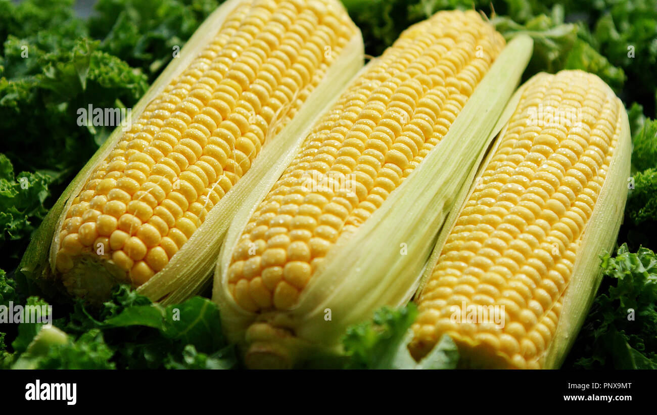 Corncobs hi-res stock photography and images - Alamy