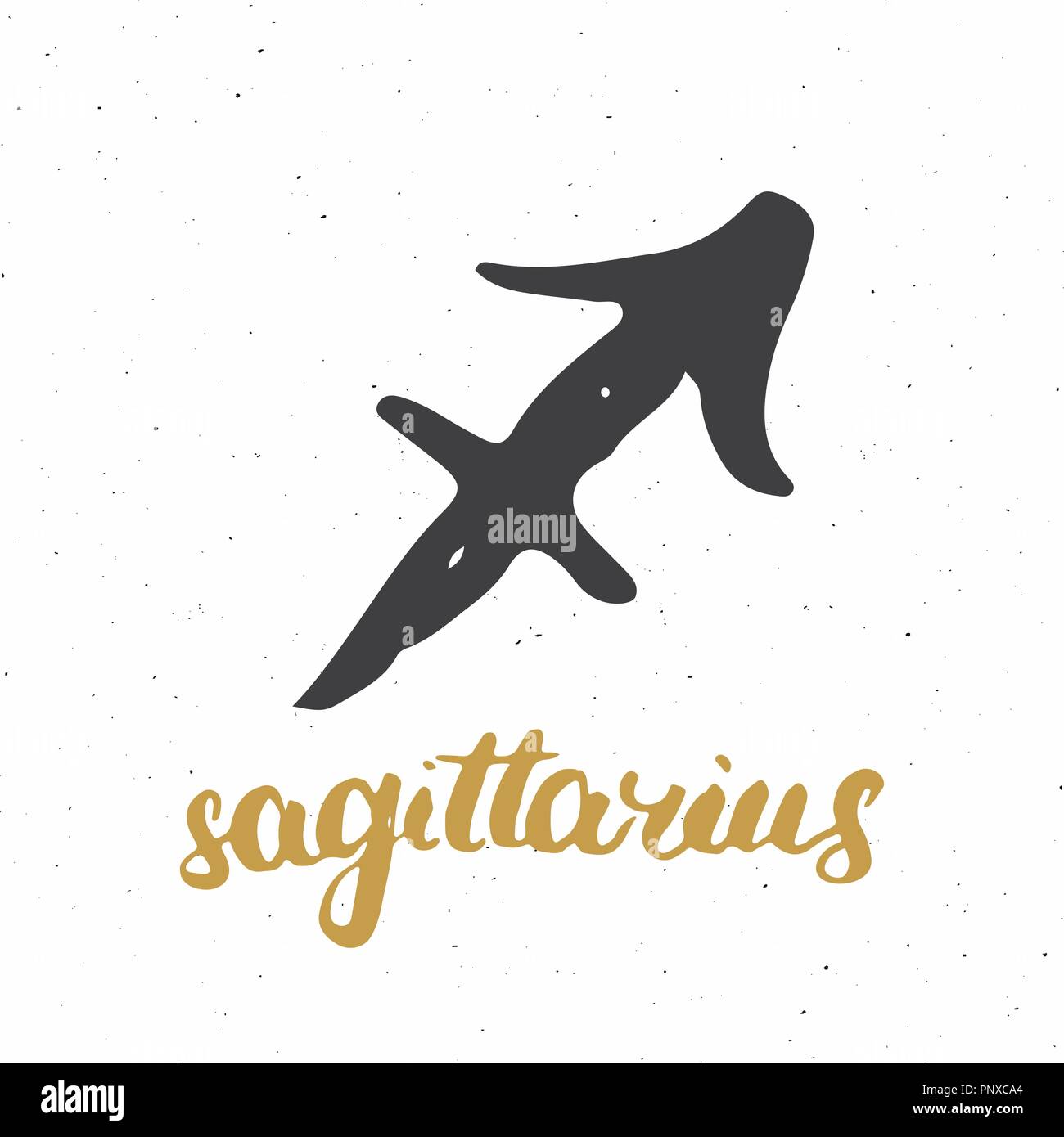 Zodiac sign Sagittarius and lettering. Hand drawn horoscope astrology ...