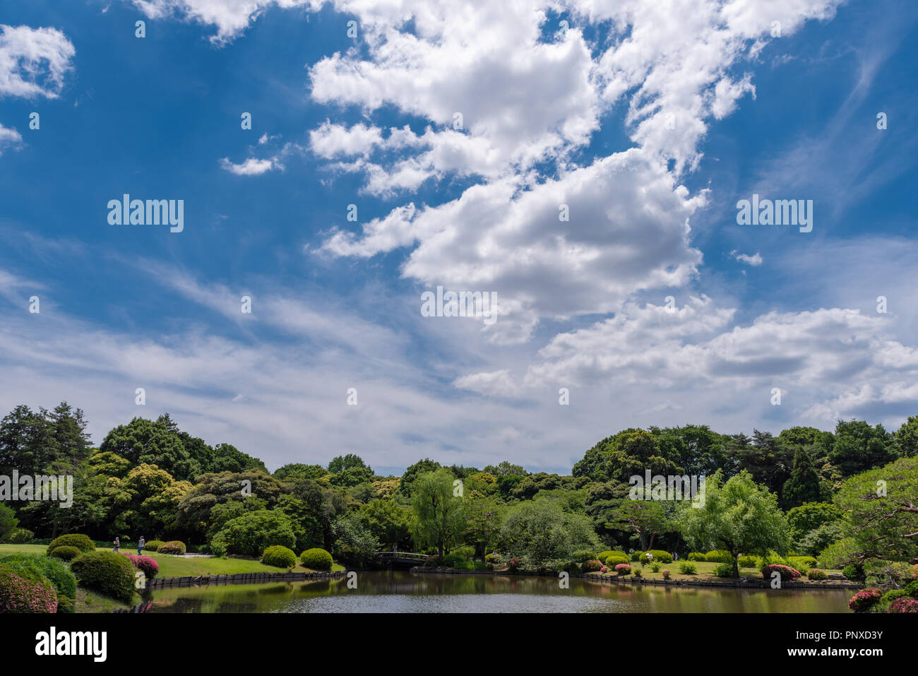Shinjuku gyo en national garden hi-res stock photography and images - Alamy