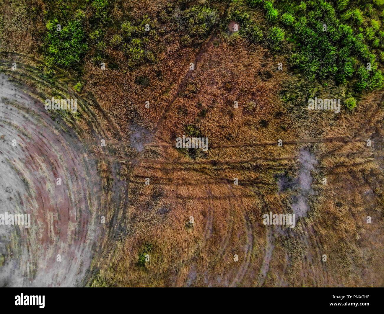 Pasto, zacate, maleza, aerea Stock Photo - Alamy