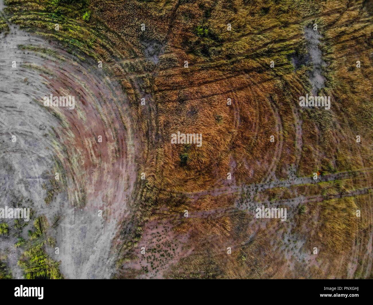 Pasto, zacate, maleza, aerea Stock Photo - Alamy