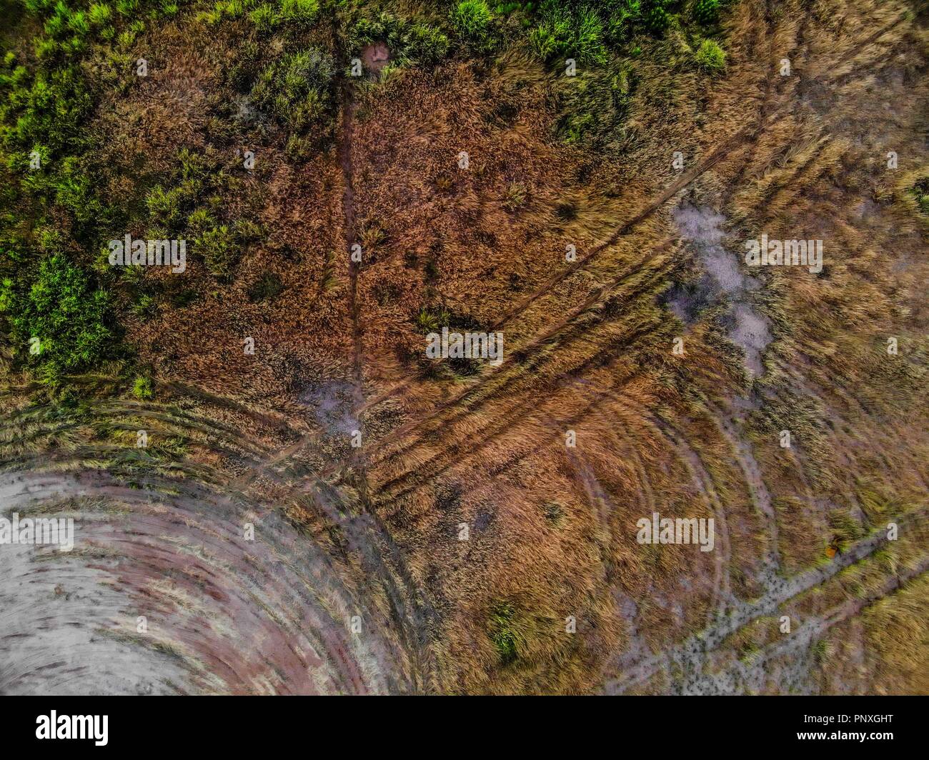 Pasto, zacate, maleza, aerea Stock Photo - Alamy