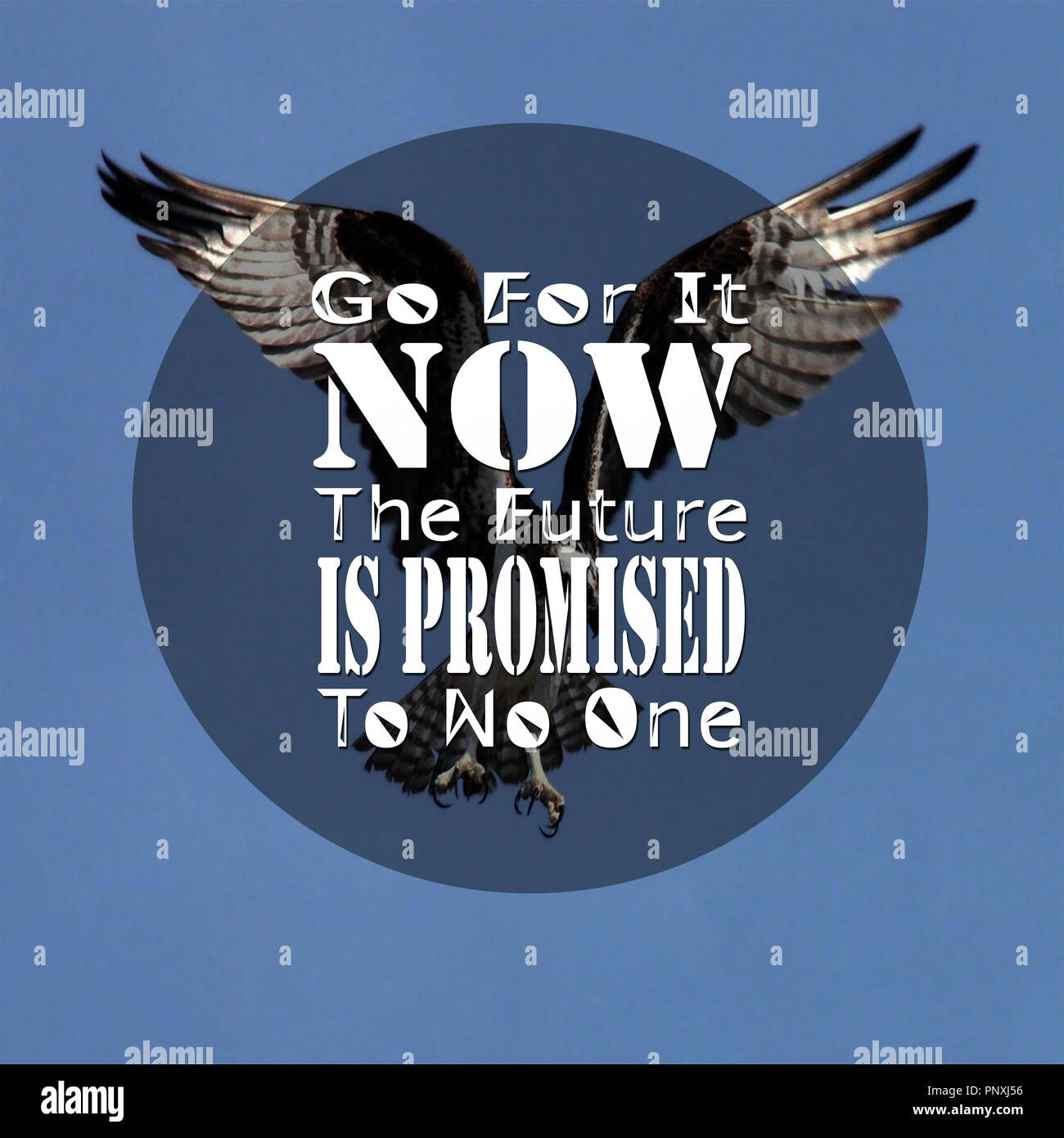 Inspirational Quotes Go for it now the future is promised to no one ...
