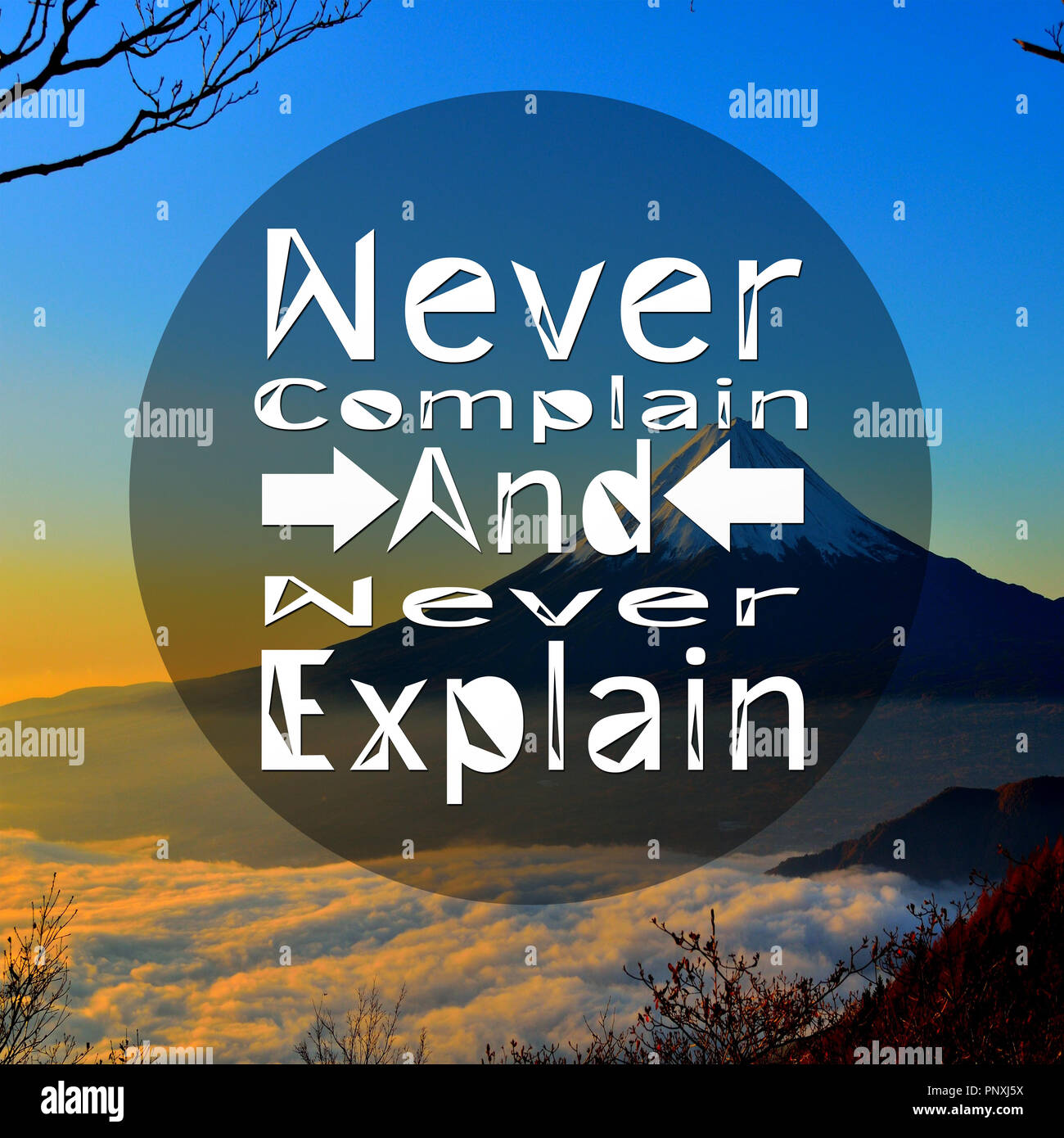 Inspirational Quotes Never complain and never explain, positive ...