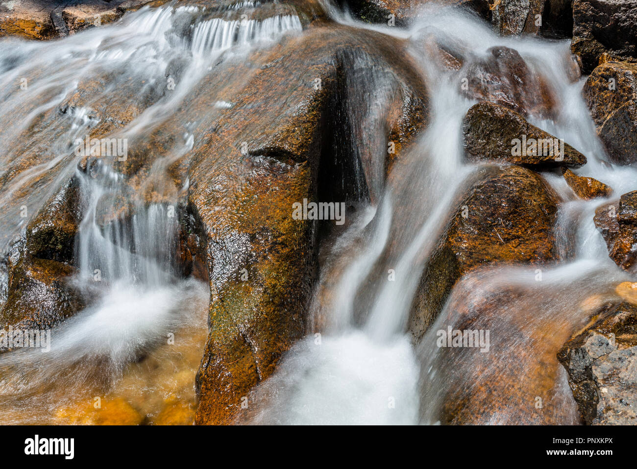 Streams and Rocks - Close up view of clear and smooth water flowing ...