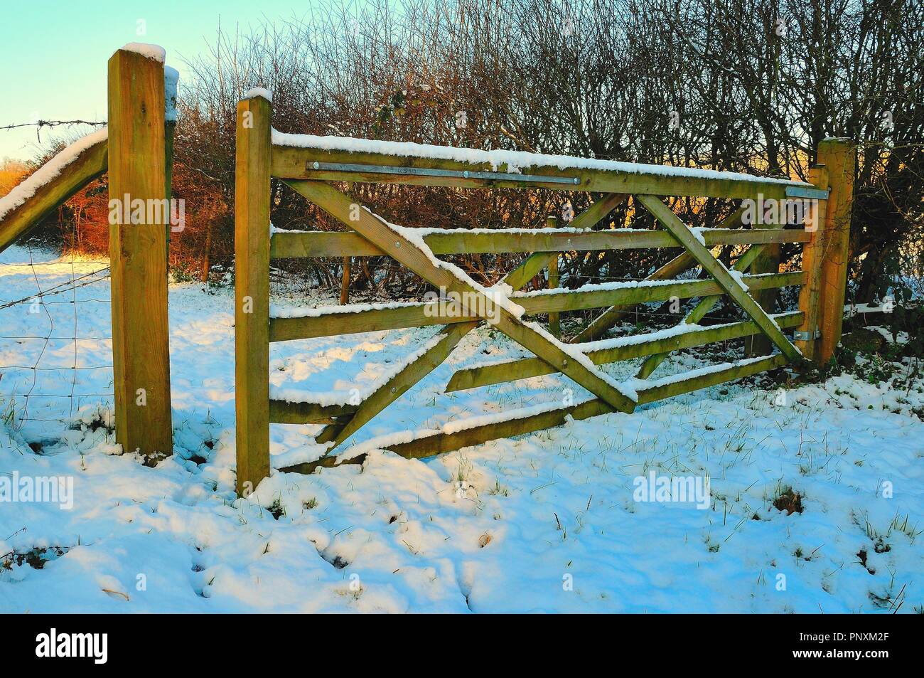 Snowy Gate Shere Surrey Stock Photo - Alamy