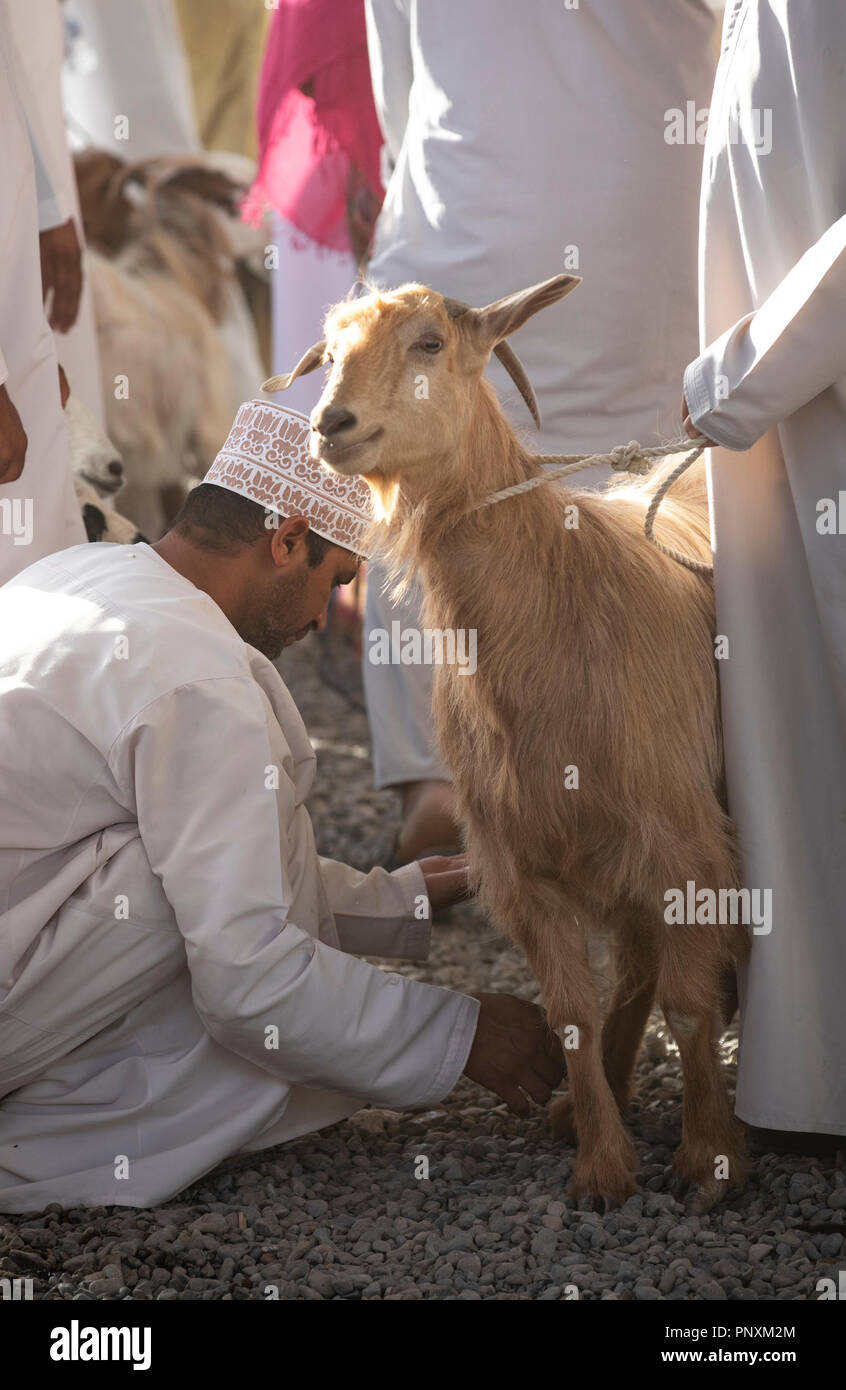 Nizwa, Oman, 21 September 2018: omani men at a market, buying and ...