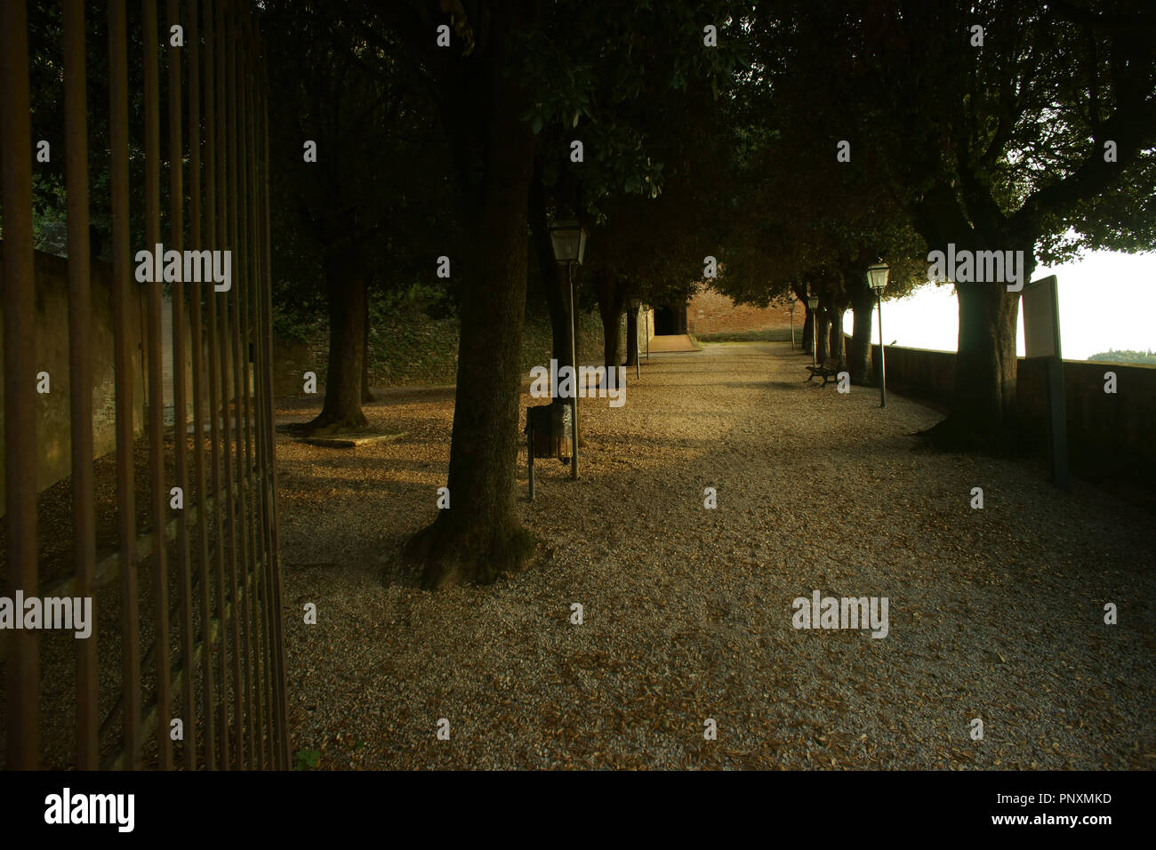 Village of San Giovanni d'Asso, Tuscany, Italy Stock Photo - Alamy