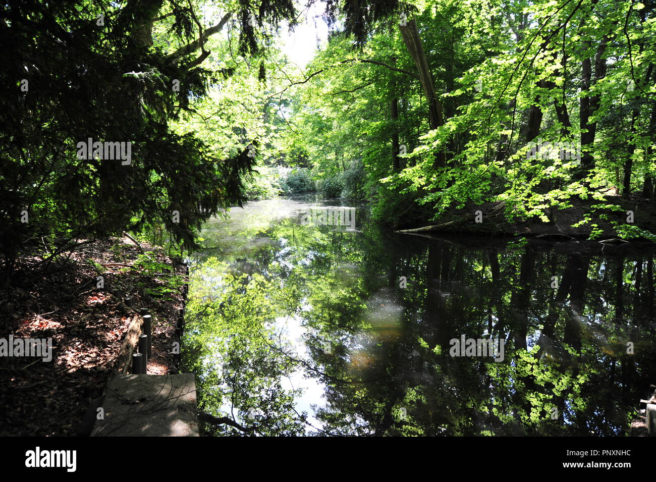 Natur berlin hi-res stock photography and images - Alamy