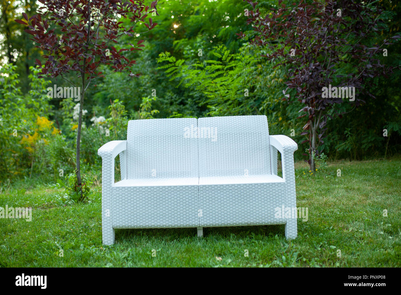 Patterned cushions in yellow hi-res stock photography and images - Alamy