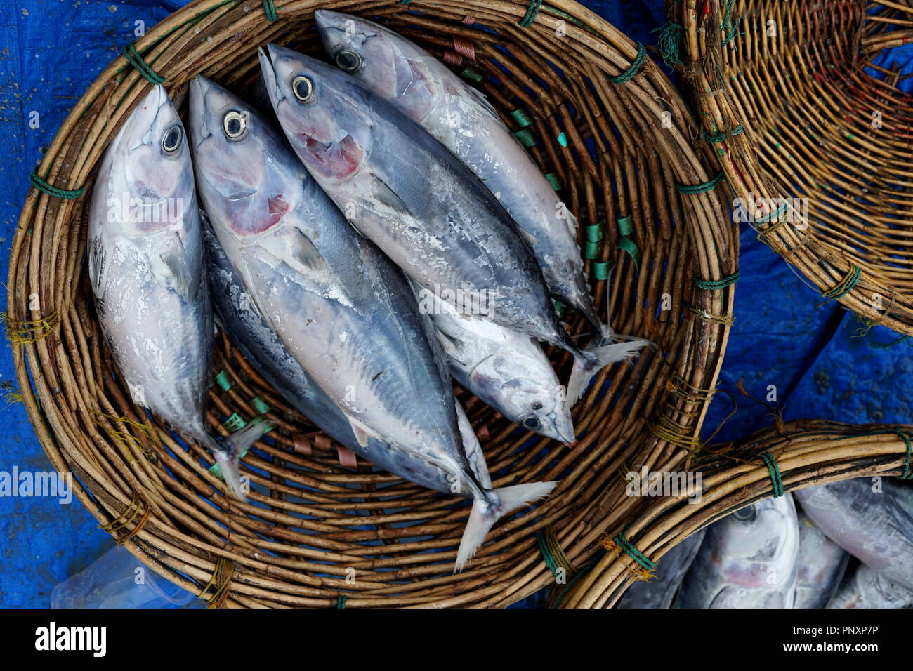 Fresh tuna fish in basket at local Fish market Stock Photo - Alamy