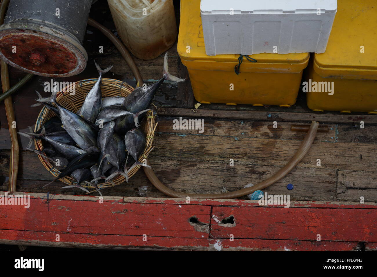 Fresh tuna fish in basket at local Fish market Stock Photo - Alamy