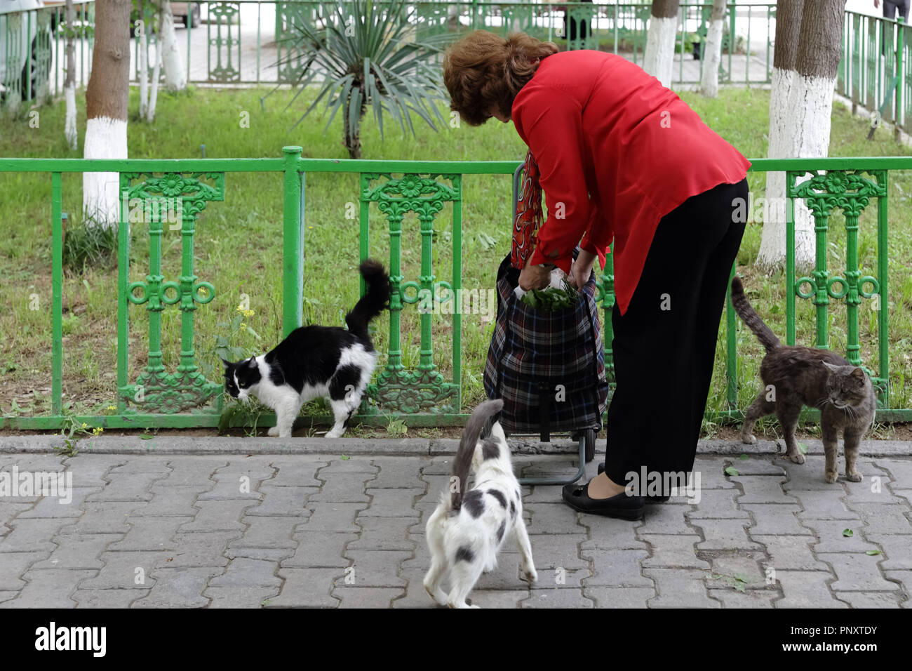 Old uzbek hi-res stock photography and images - Alamy