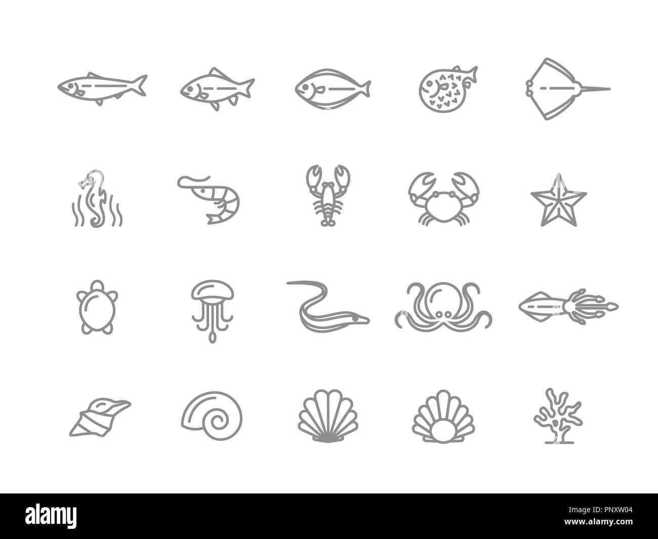 Salmon octopus fish squid Black and White Stock Photos & Images - Alamy