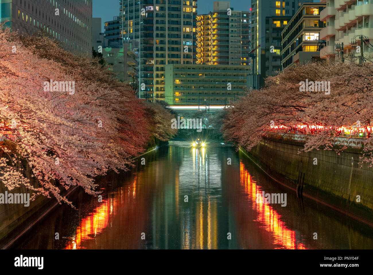 Cherry blossom season in Tokyo at Meguro river, Japan Meguro river Sakura Festival Stock Photo ...