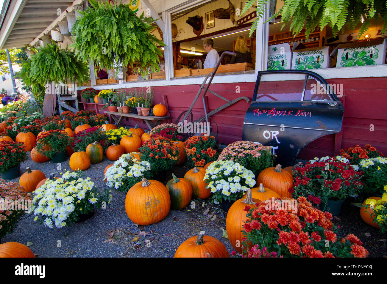 Pumpkin farm stand hi-res stock photography and images - Alamy