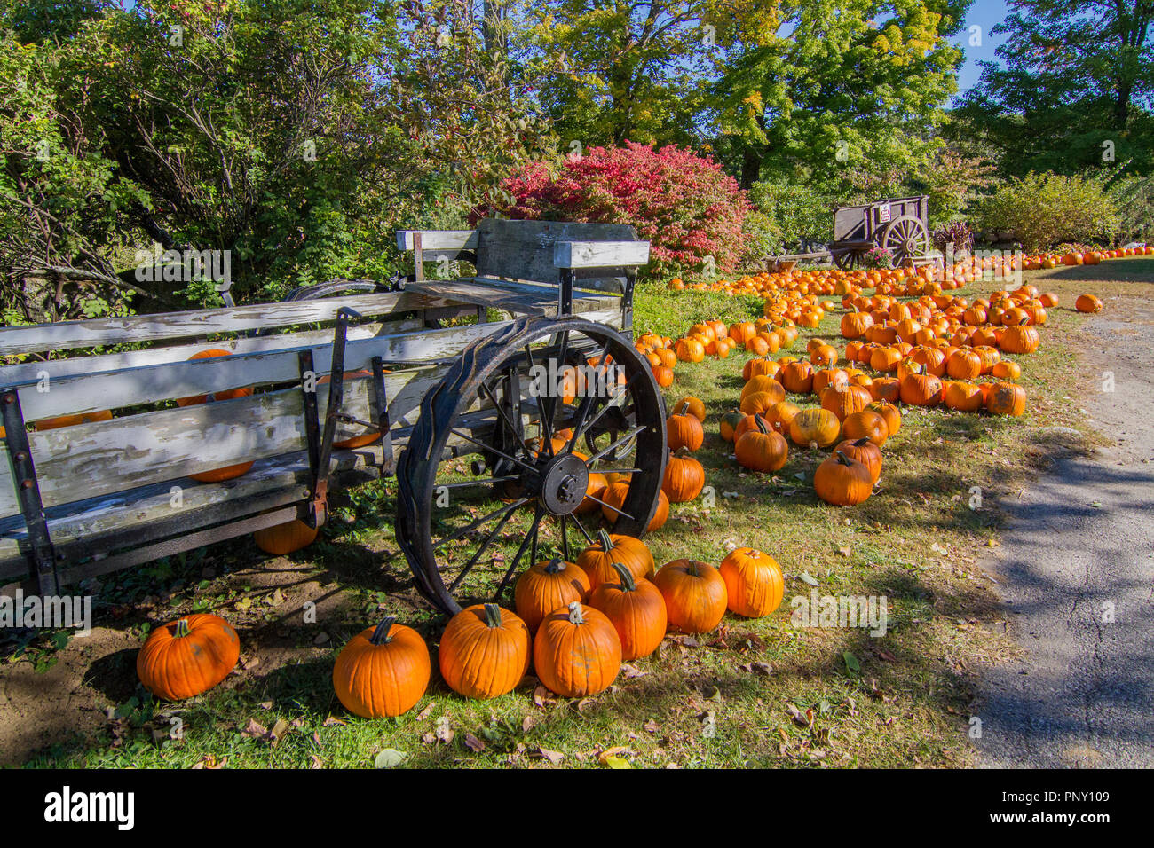 Old farm stand hi-res stock photography and images - Alamy