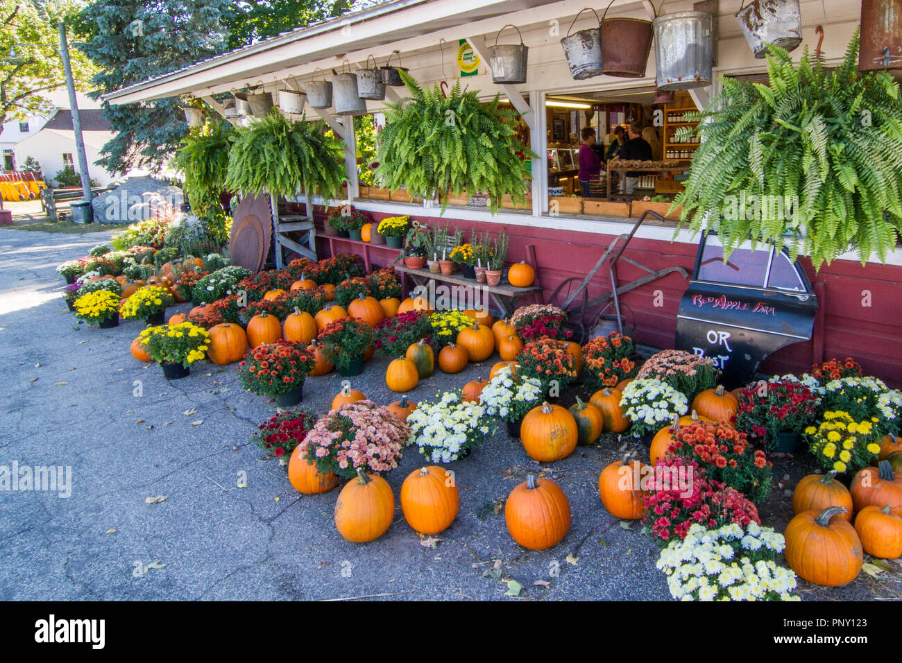 Pumpkin farm stand hi-res stock photography and images - Alamy