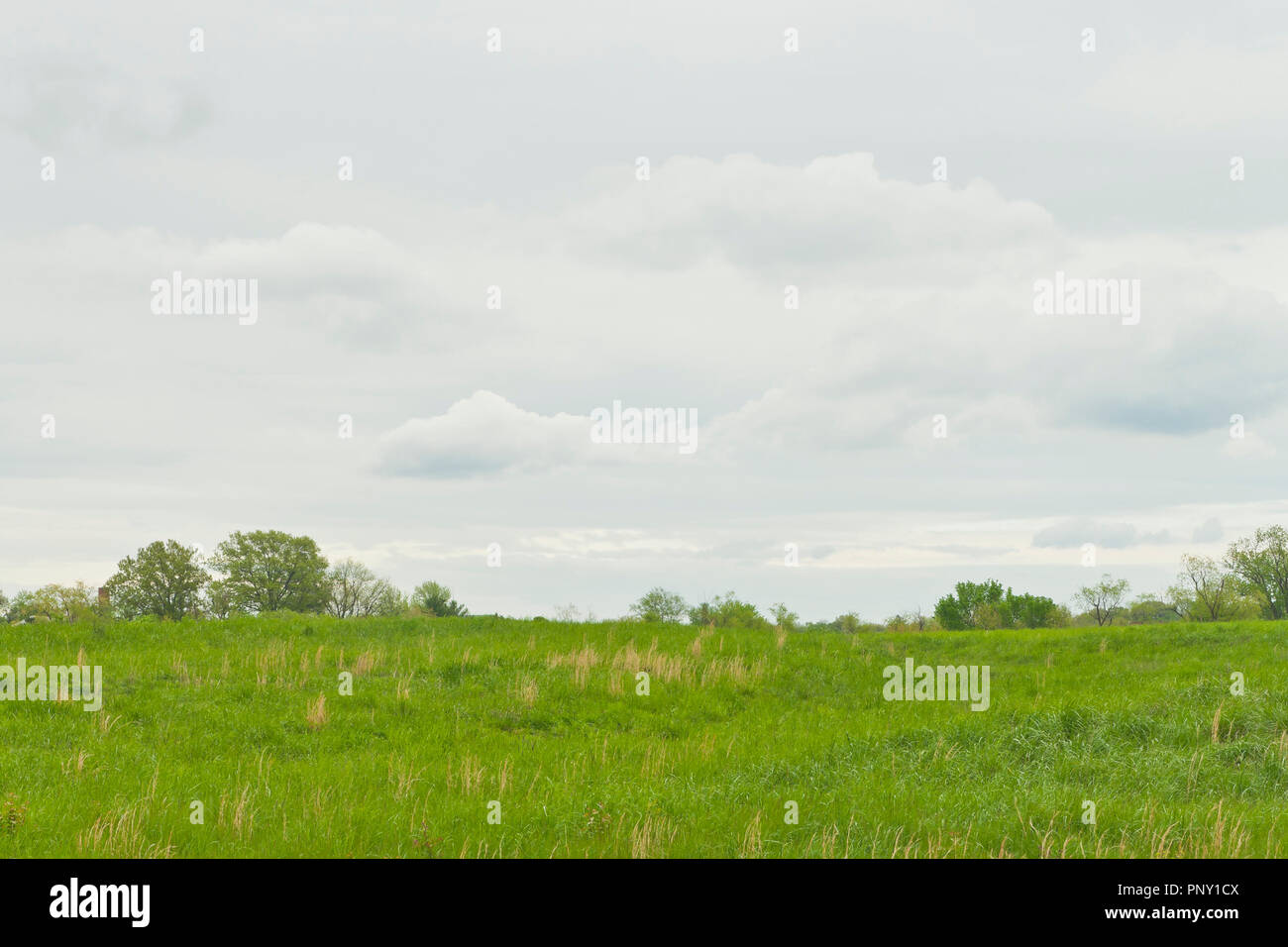 Cumulus clouds over prairie hi-res stock photography and images - Alamy