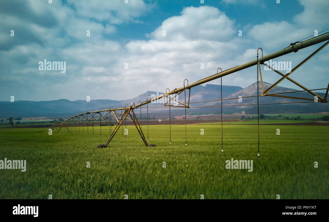 Man irrigation system watering hi-res stock photography and images - Alamy