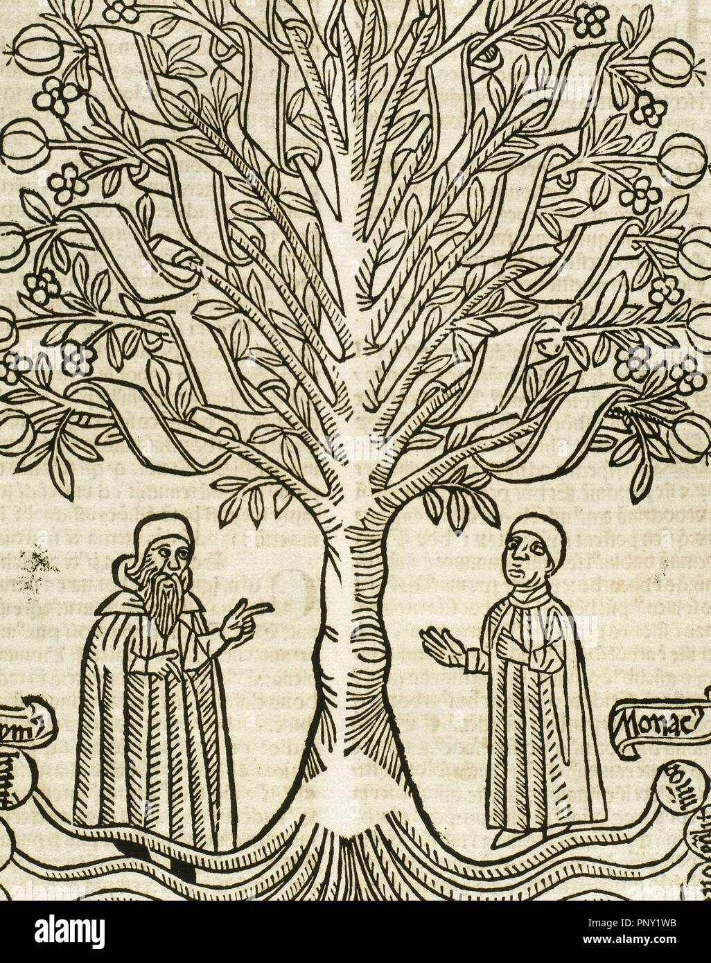 Arbor scientiae hi-res stock photography and images - Alamy