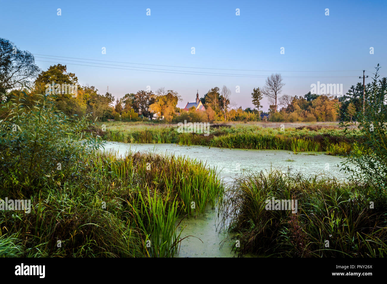Sunny morning over a small river Stock Photo - Alamy