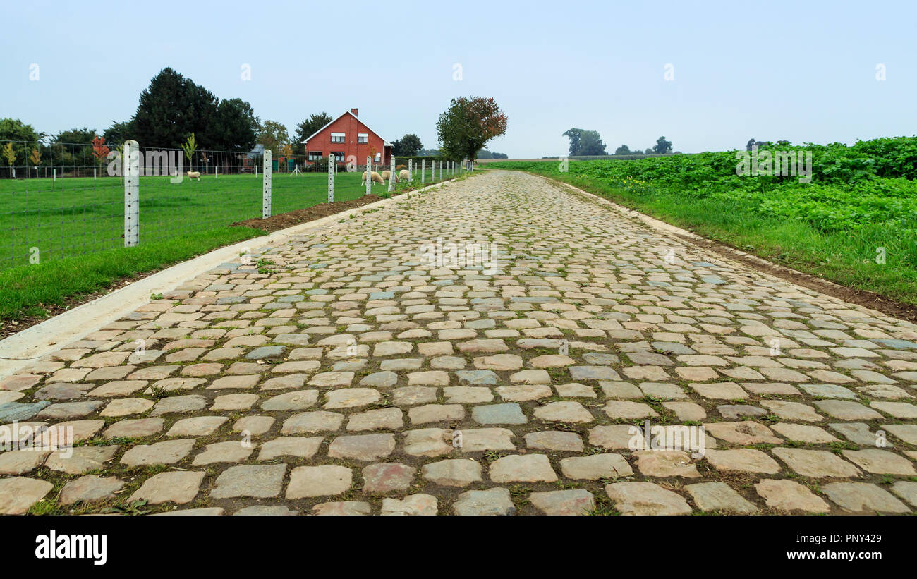 Small empty cobblestone street in a rural agricultural scene in ...