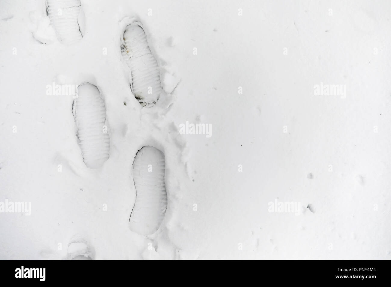 Footprints in the snow. Footprints on the first snow. Imprint of Stock ...