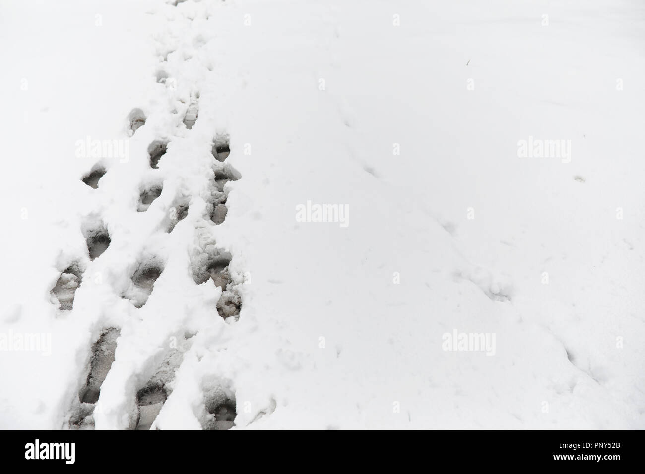 Concept holiday first step hi-res stock photography and images - Alamy