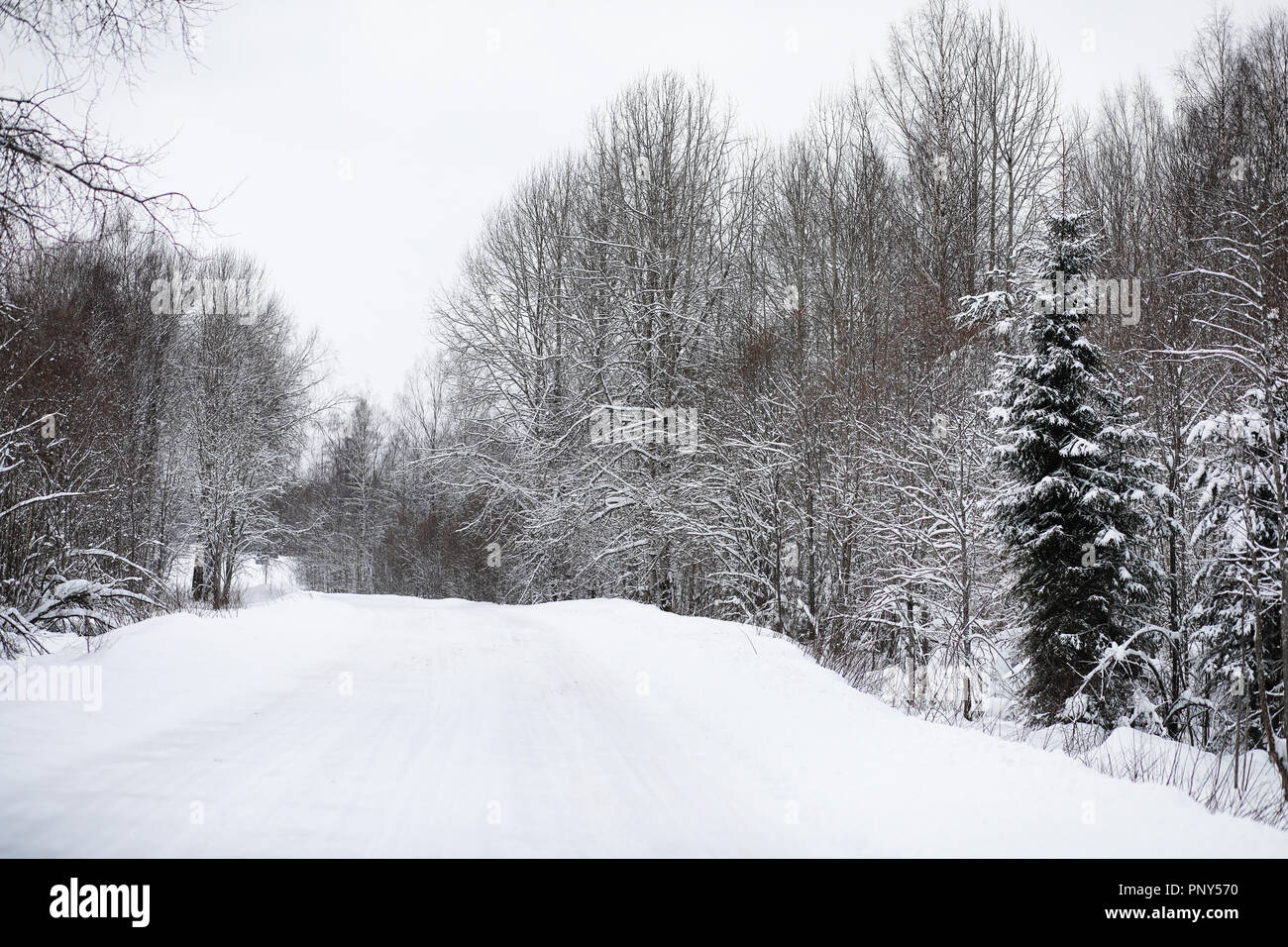 Landscape in the winter cloudy day Stock Photo - Alamy