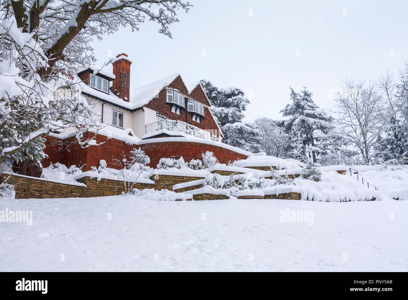 Back garden terraced house hi-res stock photography and images - Alamy