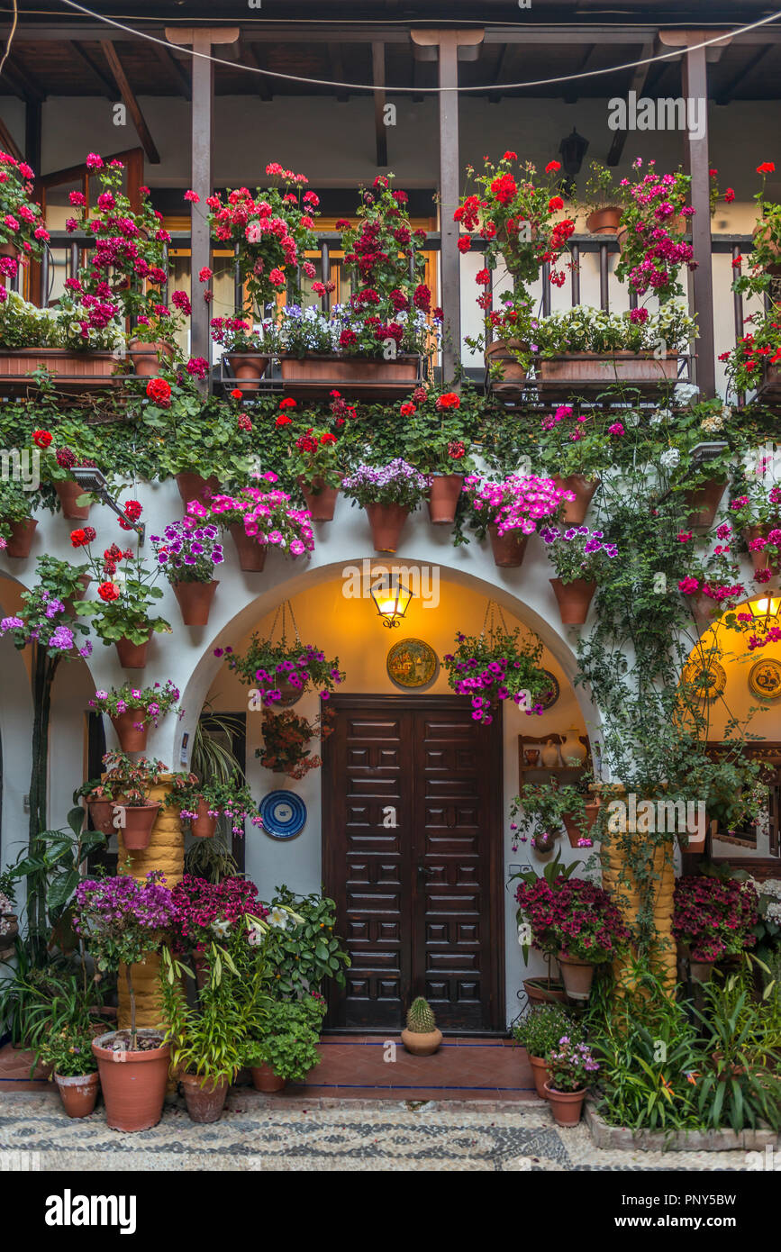 Many colorful flowers in flower pots on a house wall in the courtyard ...