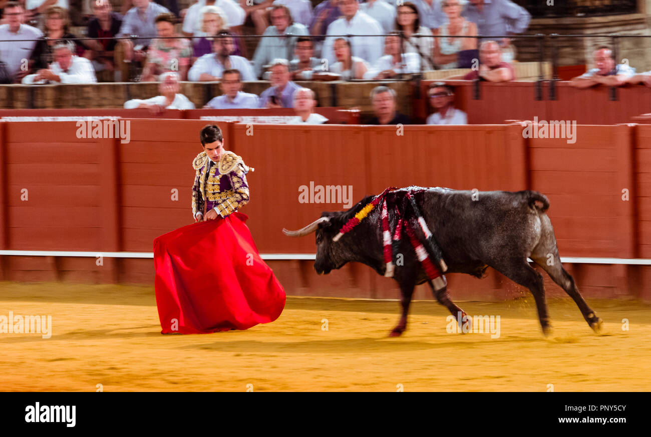 Faena hi-res stock photography and images - Alamy