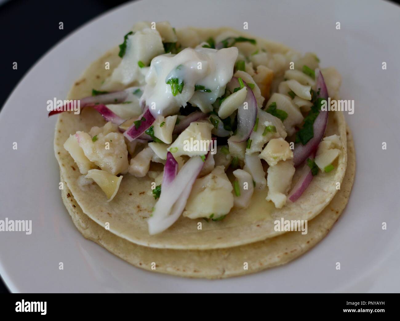 Watering the conch hi-res stock photography and images - Alamy