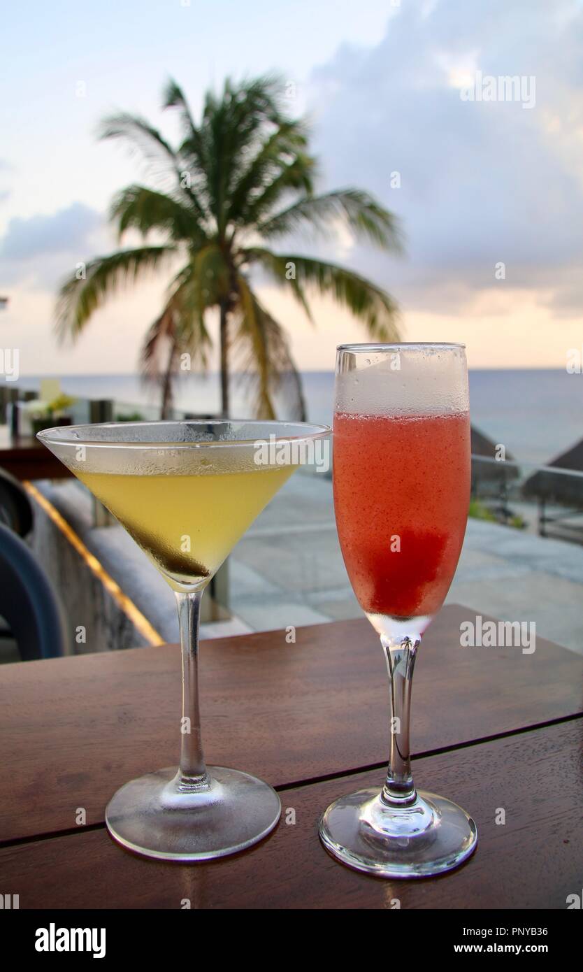 Cocktails at sunset with a palm tree in the background Stock Photo - Alamy