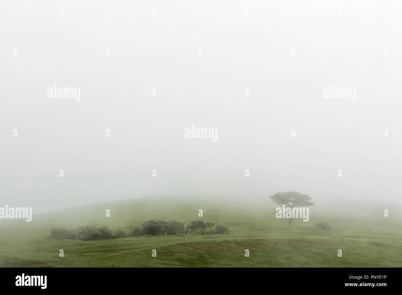 Foggy day on the countryside Stock Photo - Alamy