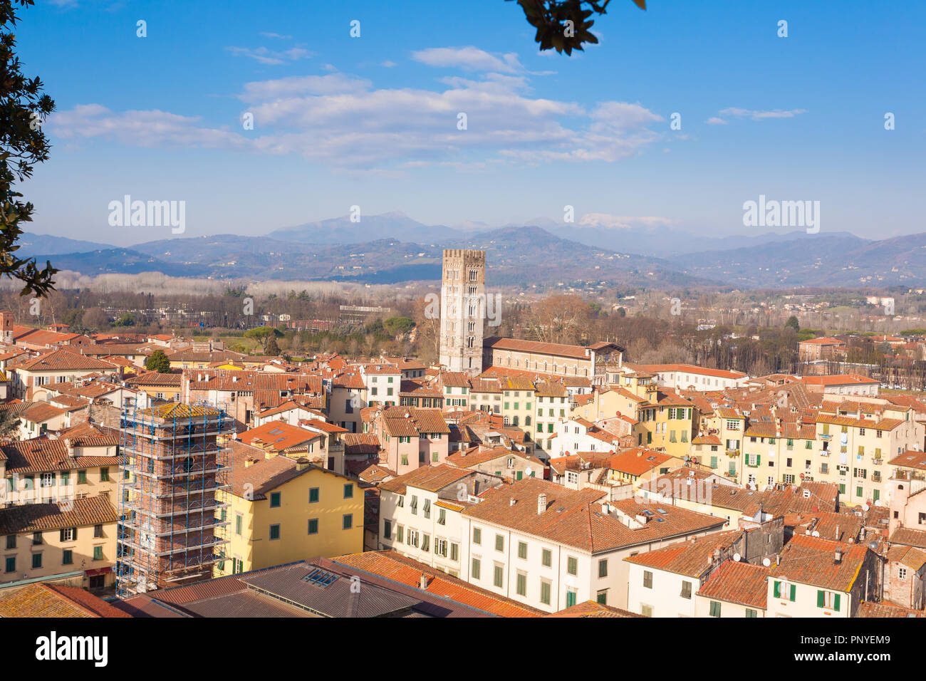 Lucca from Guinigi Tower. Italian landmark. Aerial view of Lucca Stock ...