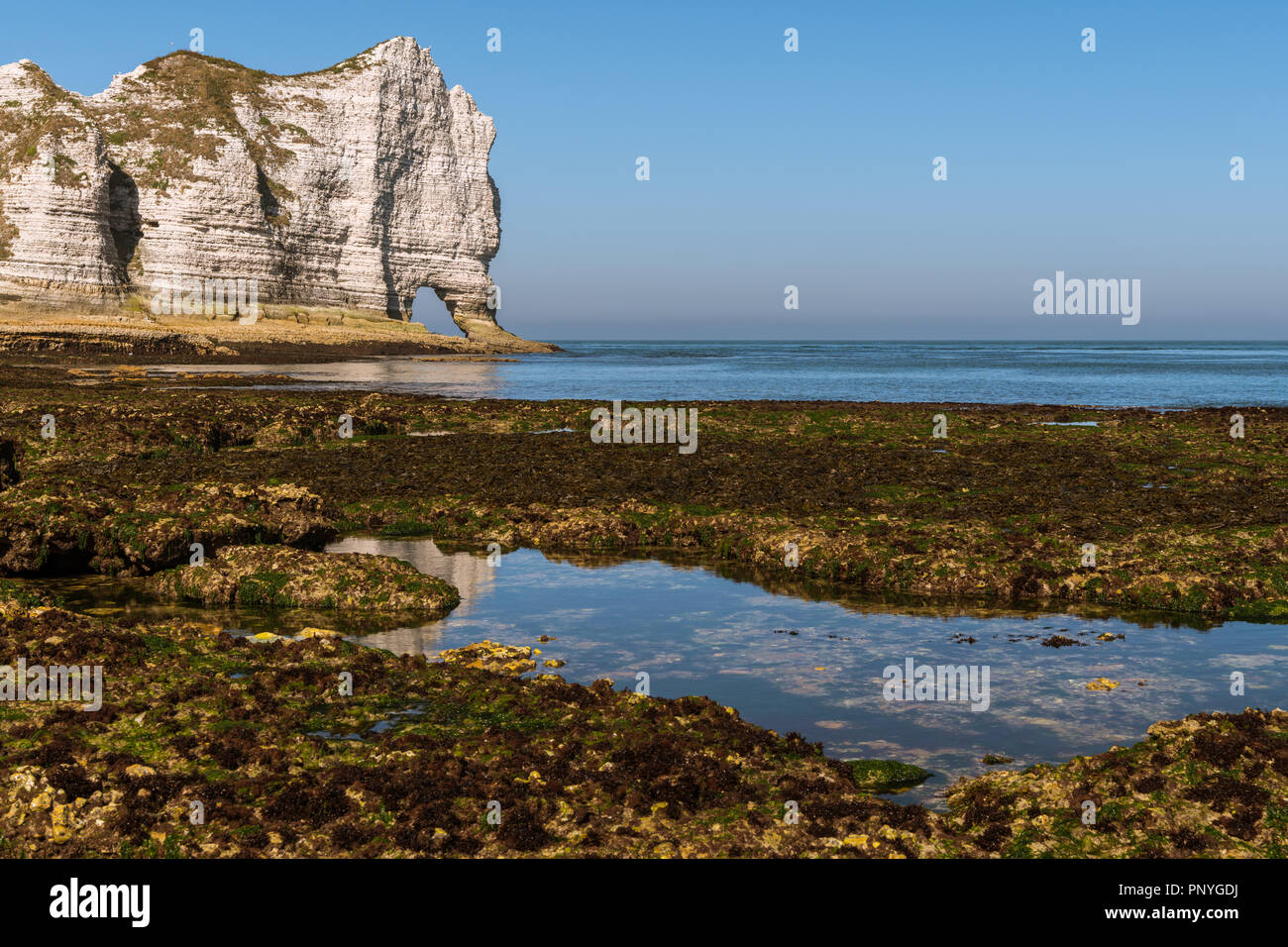 Chalk cliffs of Etretat (Normandy France) with the natural arch Porte d ...
