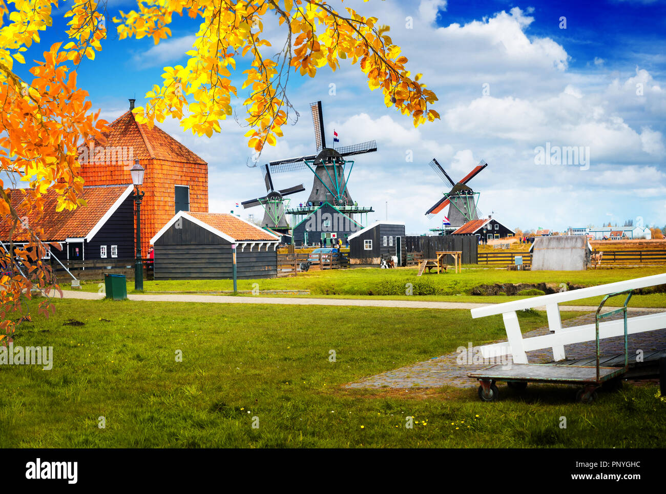 traditional Dutch rural scene with windmills of Zaanse Schans ...