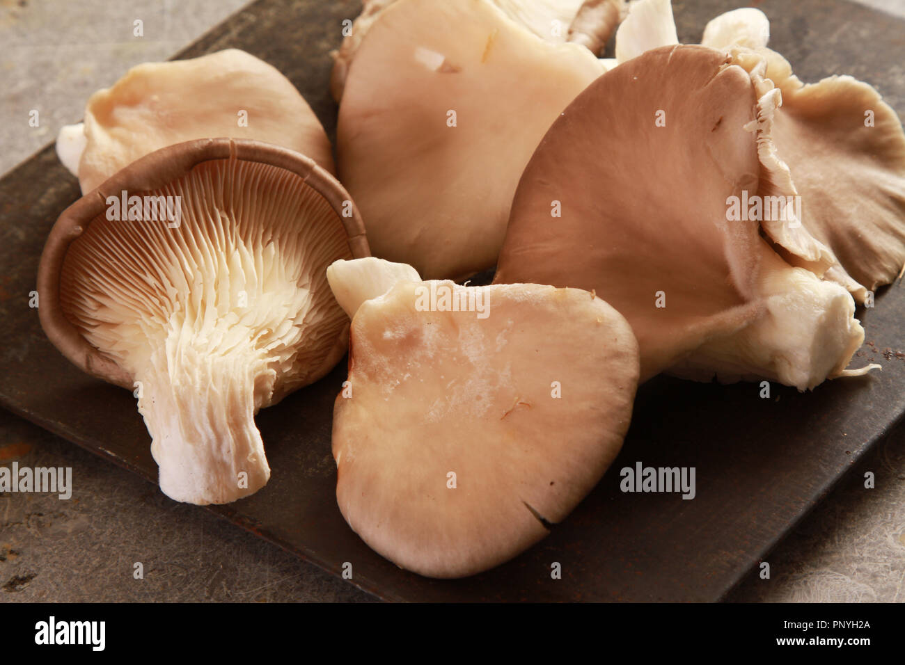preparing fresh oyster mushrooms Stock Photo - Alamy