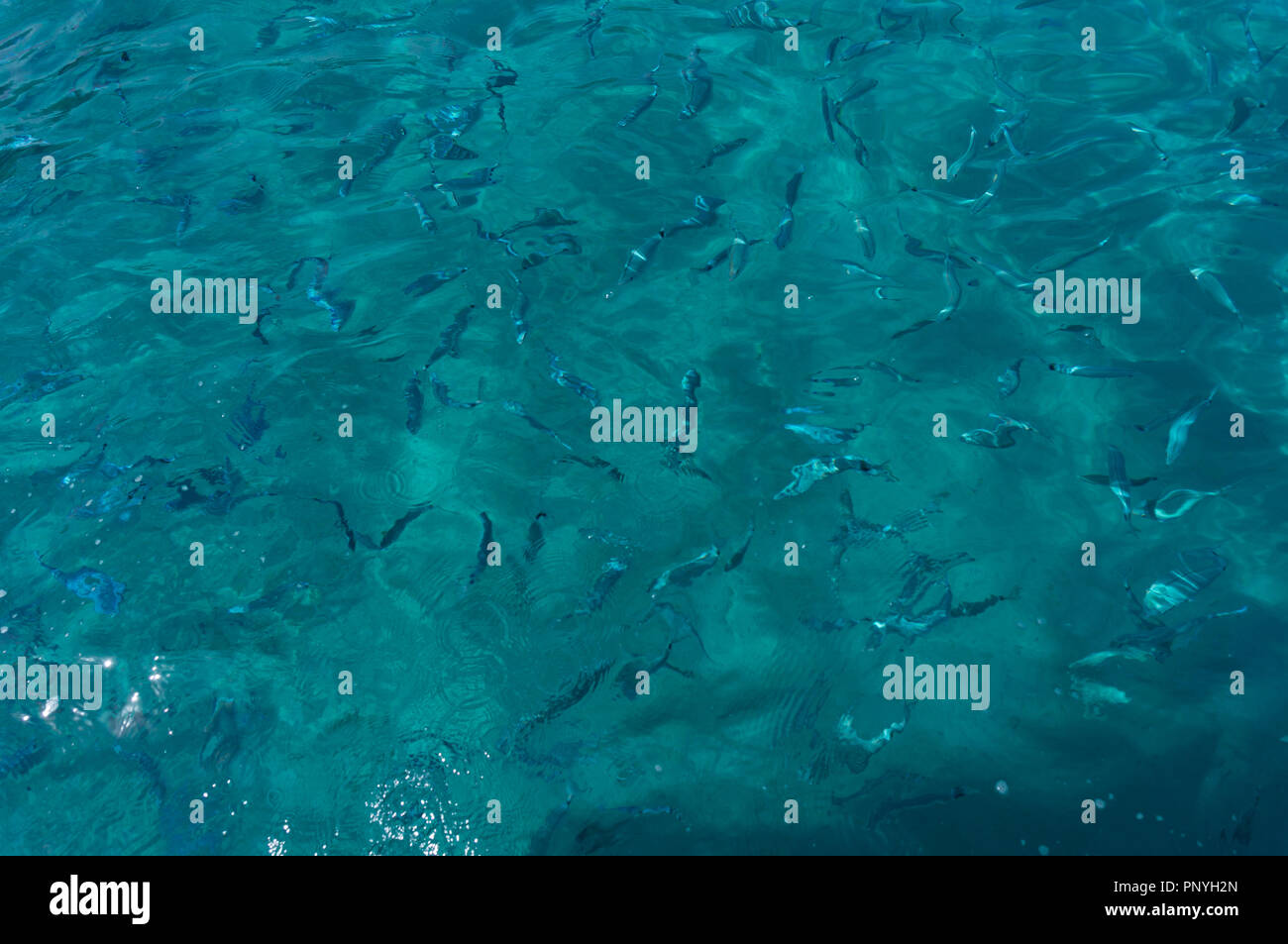 Ocean Water From Above