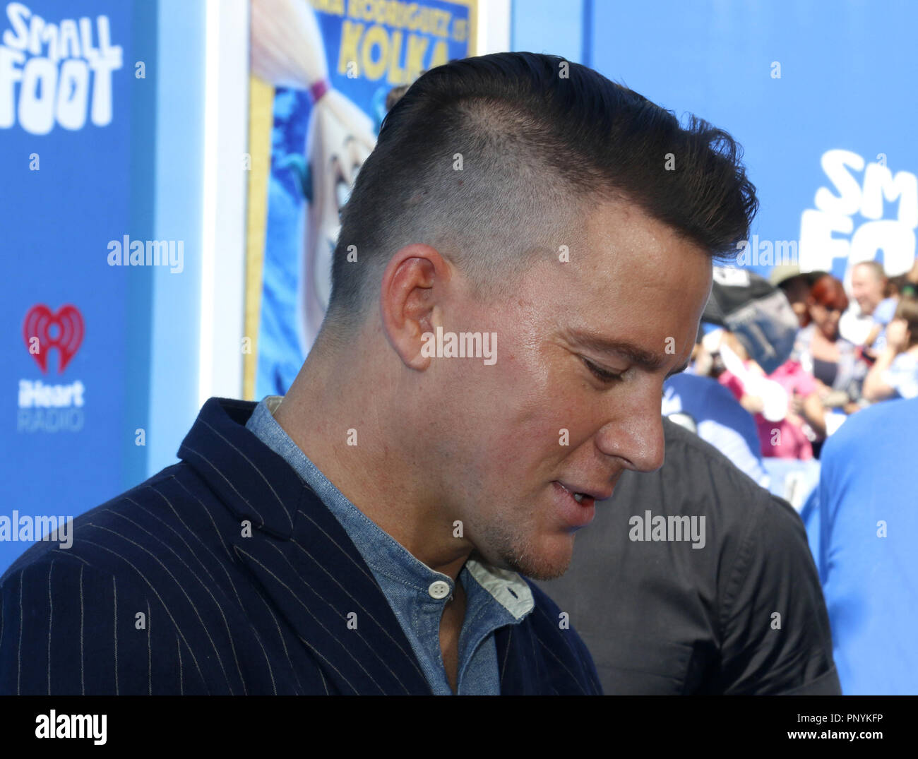 Channing Tatum Hairstyle Dear John