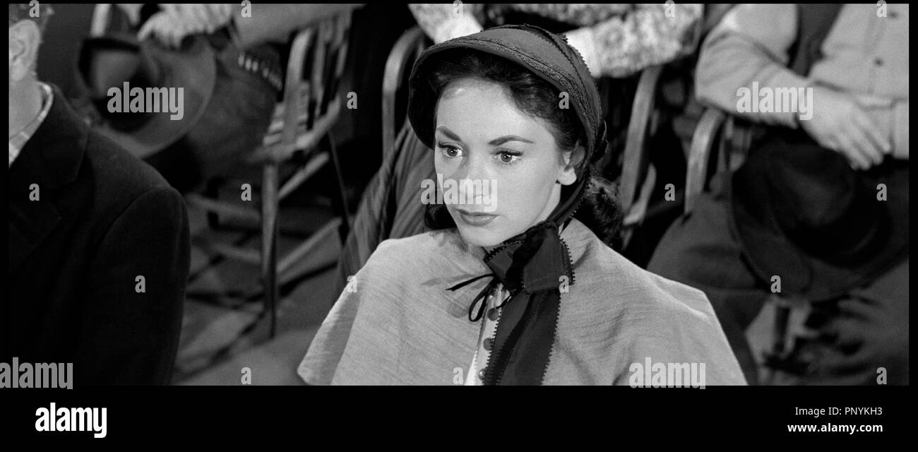 Meyler Stock Photos & Meyler Stock Images - Alamy