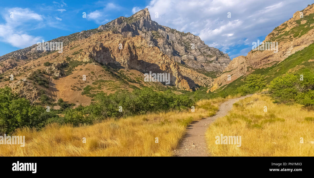 Hiking trail in the wilderness of Provo Utah Stock Photo - Alamy