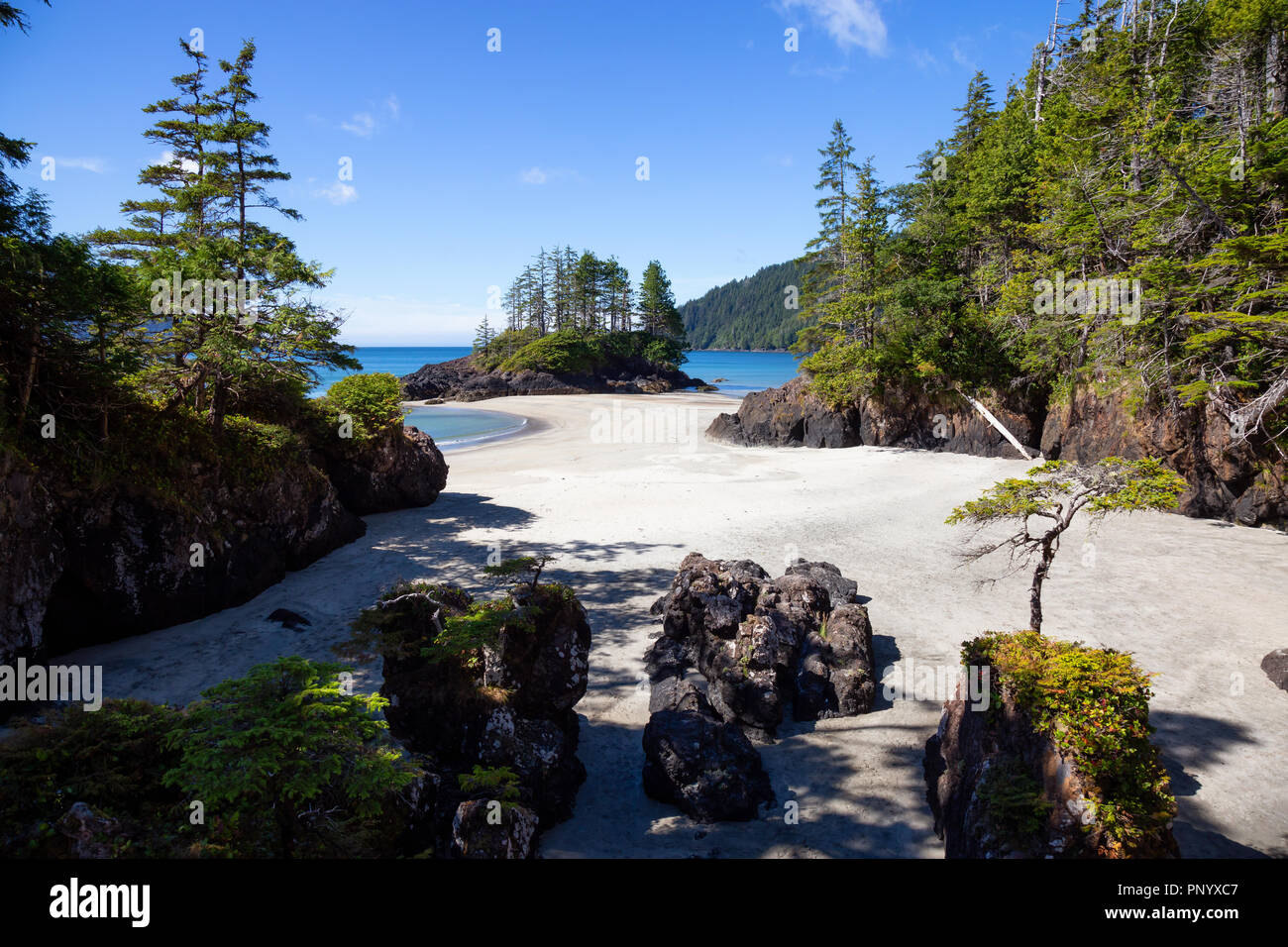 Beautiful panoramic view of sandy beach on Pacific Ocean Coast. Taken ...