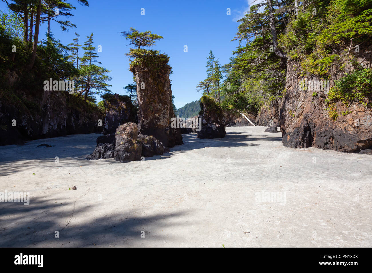 Beautiful seascape view of rocky beach on Pacific Ocean Coast. Taken in ...
