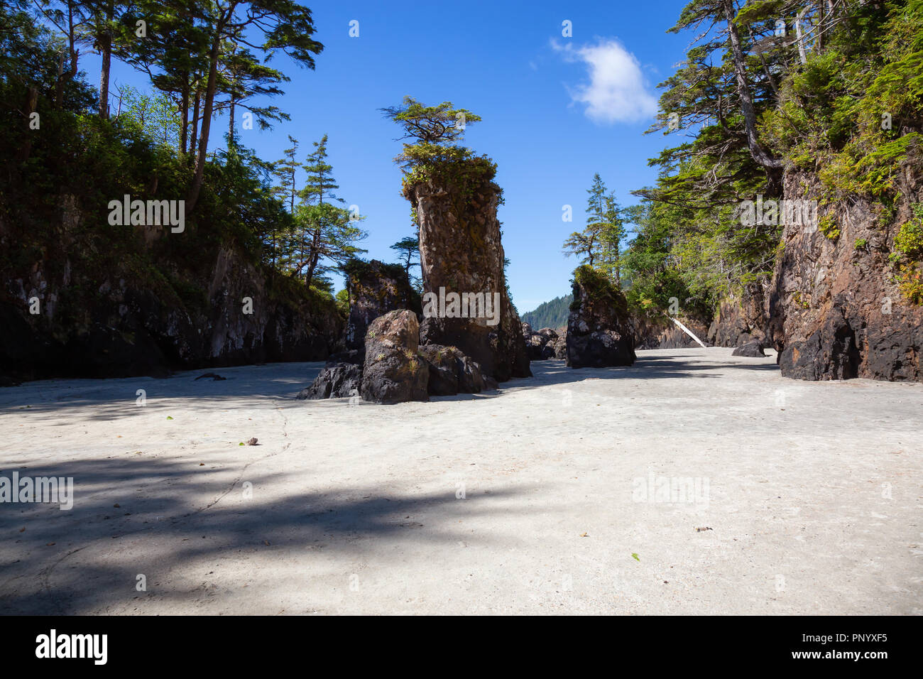 Beautiful seascape view of rocky beach on Pacific Ocean Coast. Taken in ...